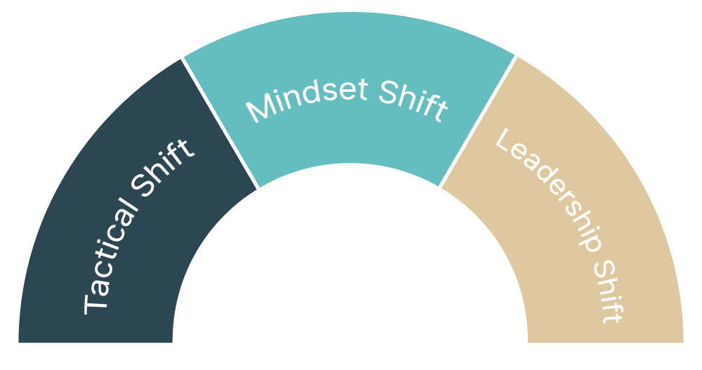 Genius Mindset - Leaders Rewired